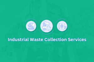 Waste Management in Qatar | Bin Lift Services
